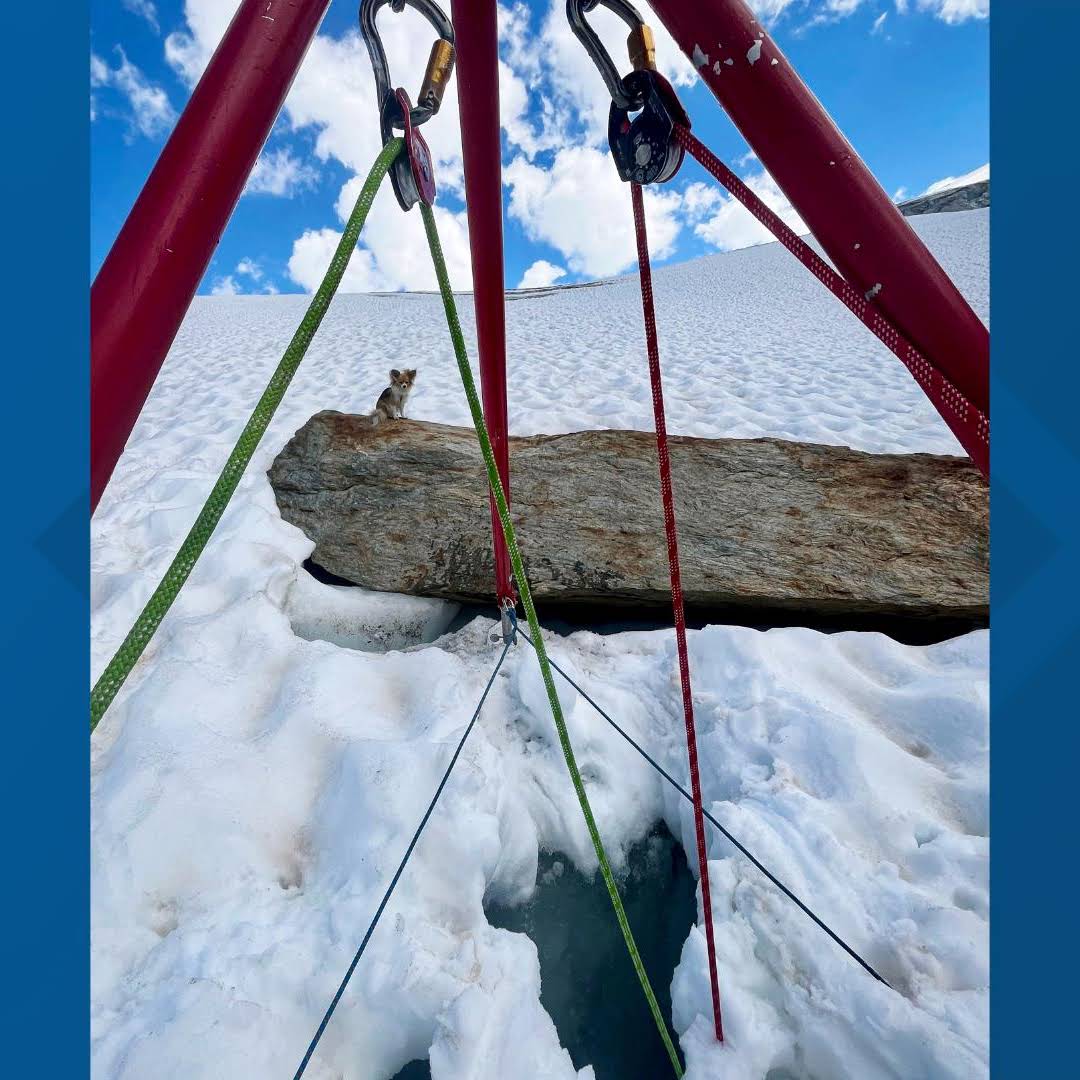 Post from CBS 8 San Diego