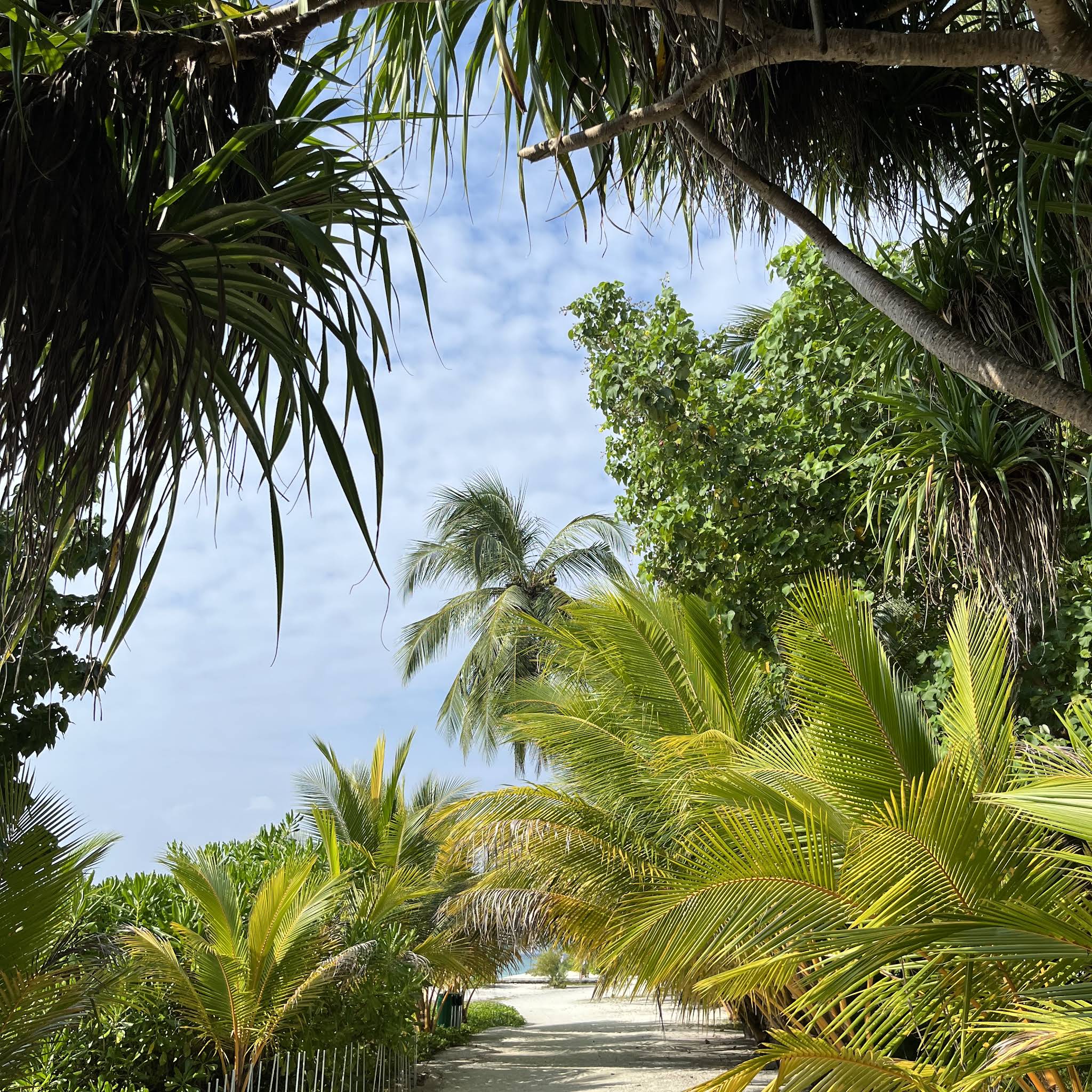 Post from darklite ASMR