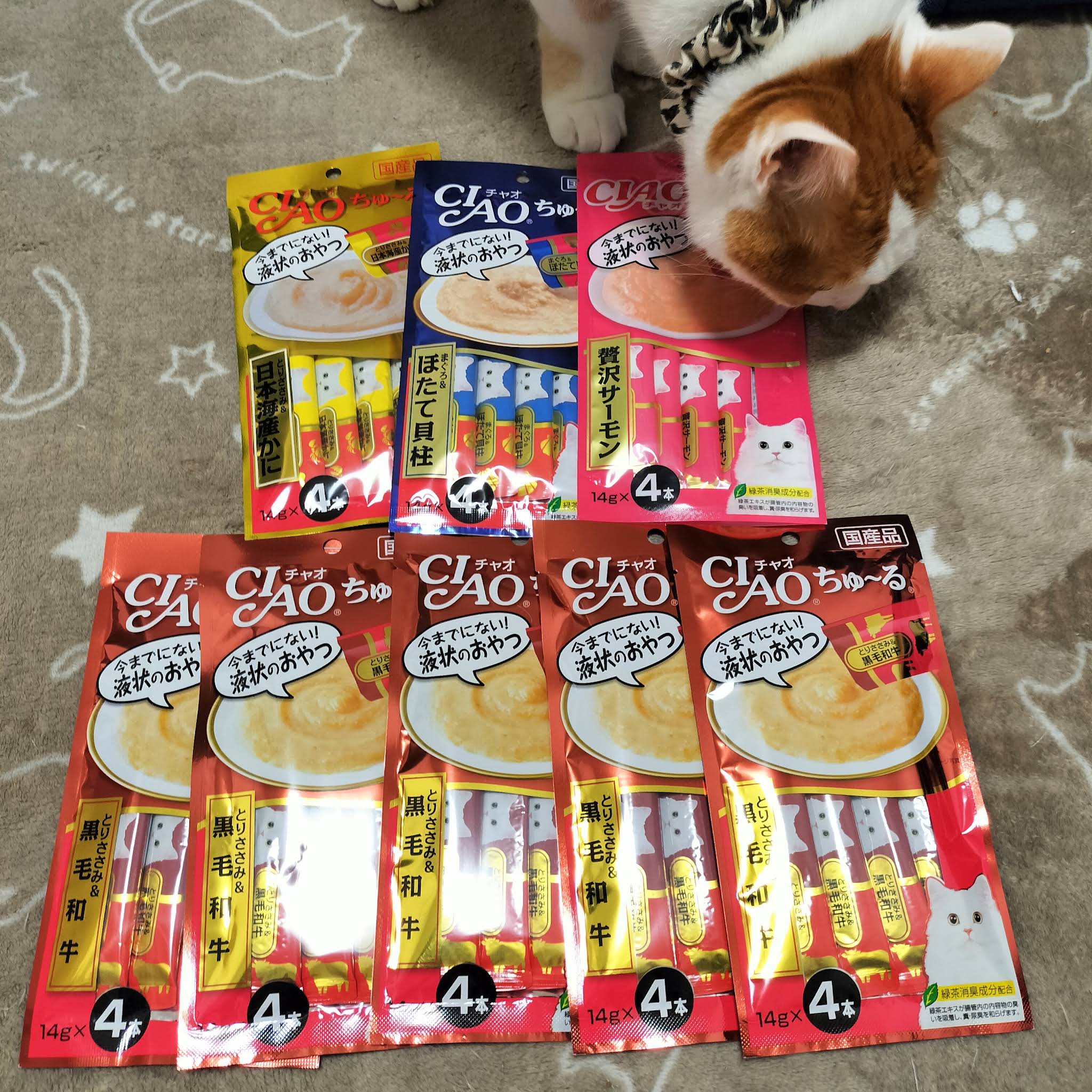 Post from 田上(たがみ)猫(トム)。Tagami cat(Tom)