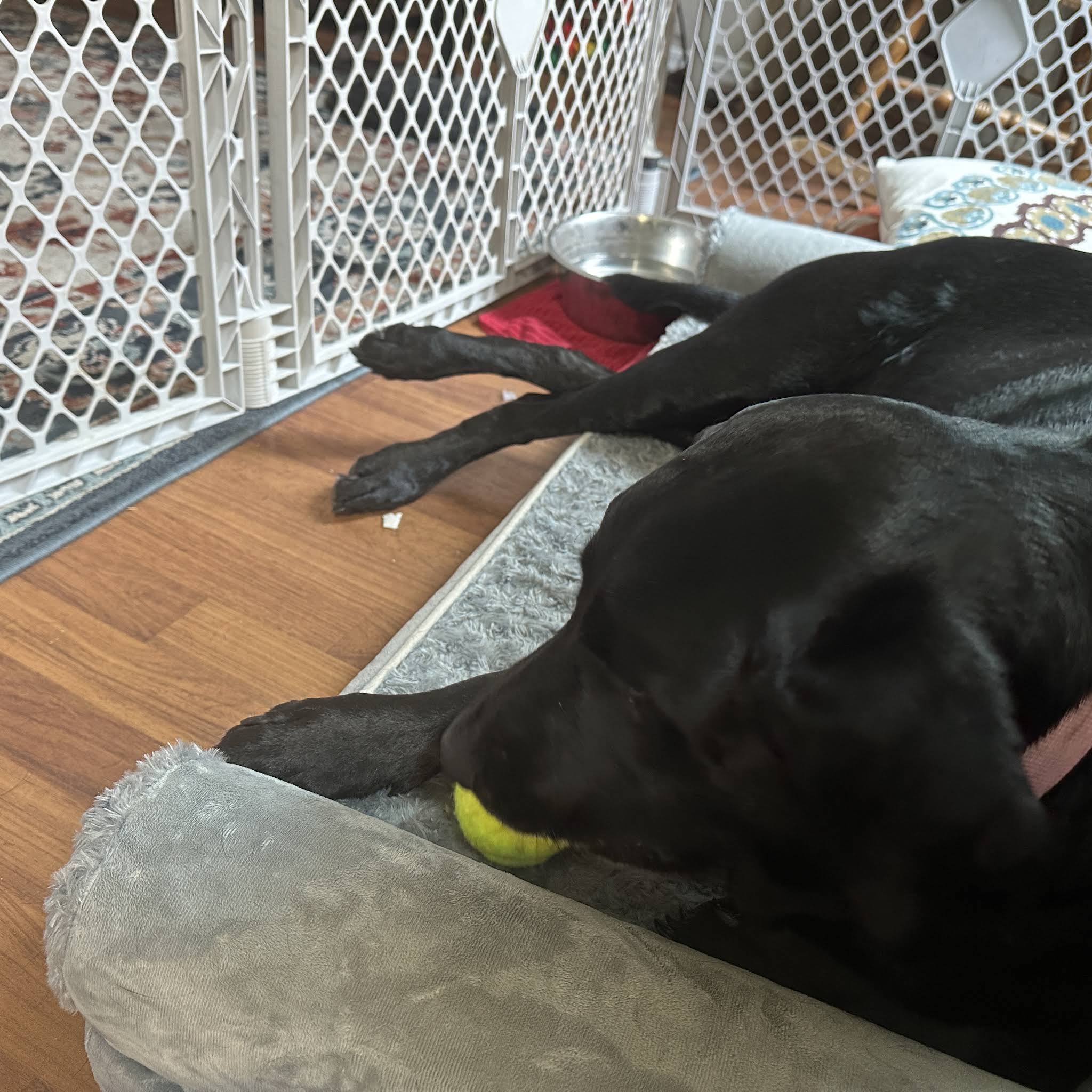 Post from My Review - Aaron Fischer