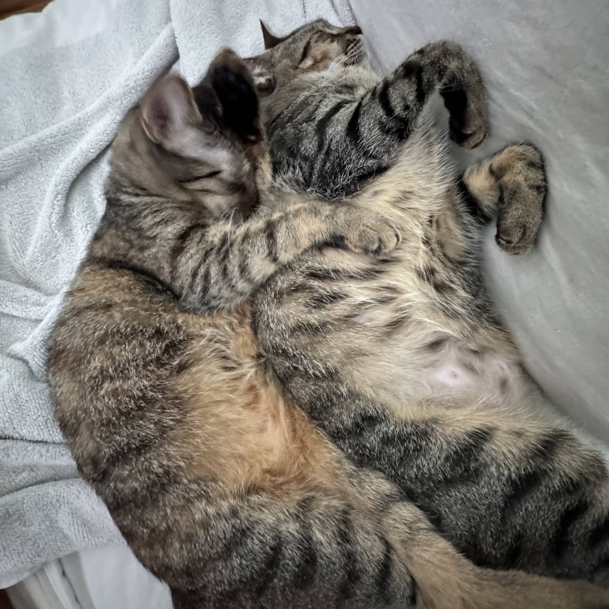 Post from india.slayz⁉️💗