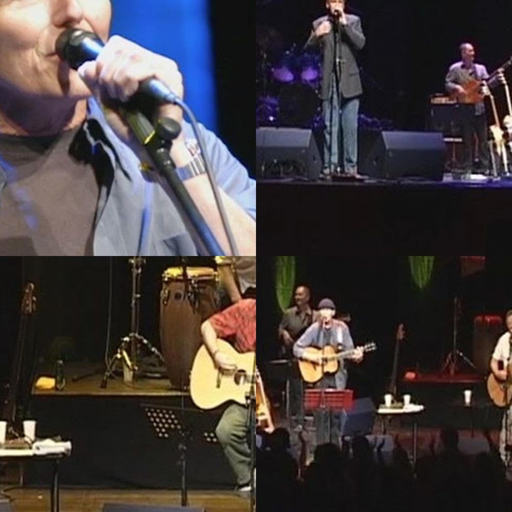 Georg Danzer Live aus der Stadthalle Wien 2007