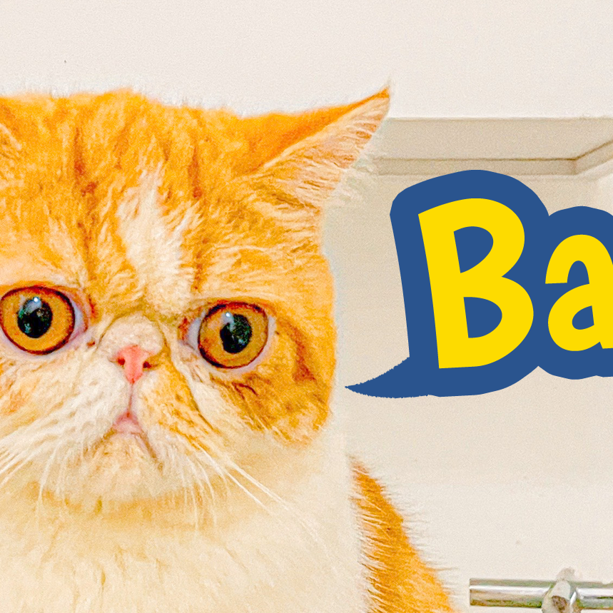 Post from Kucing Cemara