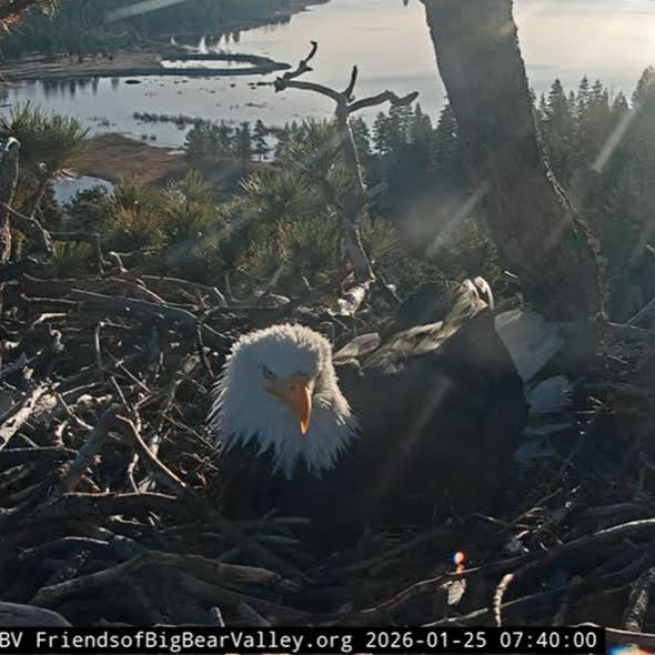 Post from FOBBV CAM
