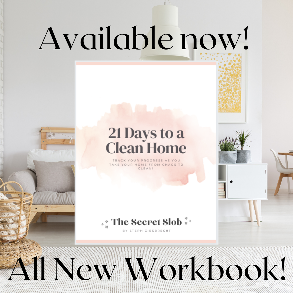 Post from The Secret Slob