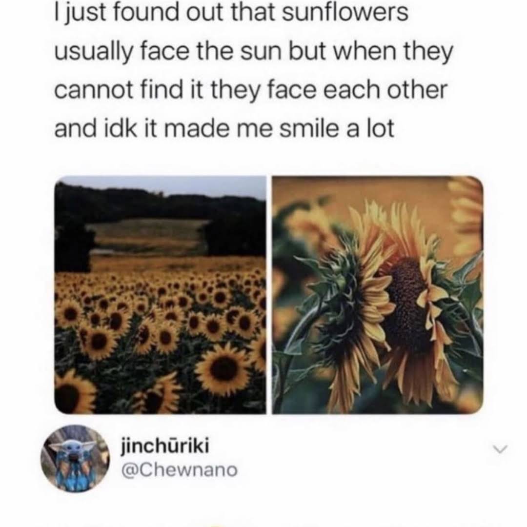 Post from No One Any Moore