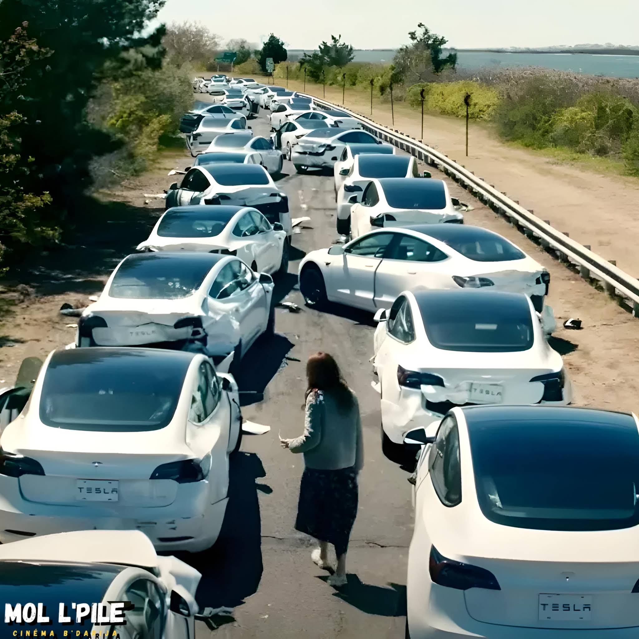 Post from Mol L'pile-Disney Bdarija