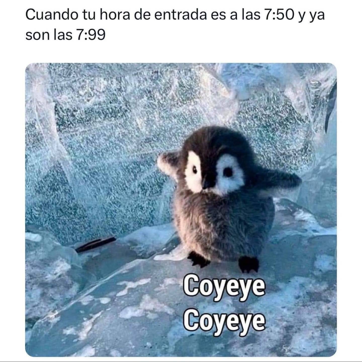 Post from SnowFlake Freak