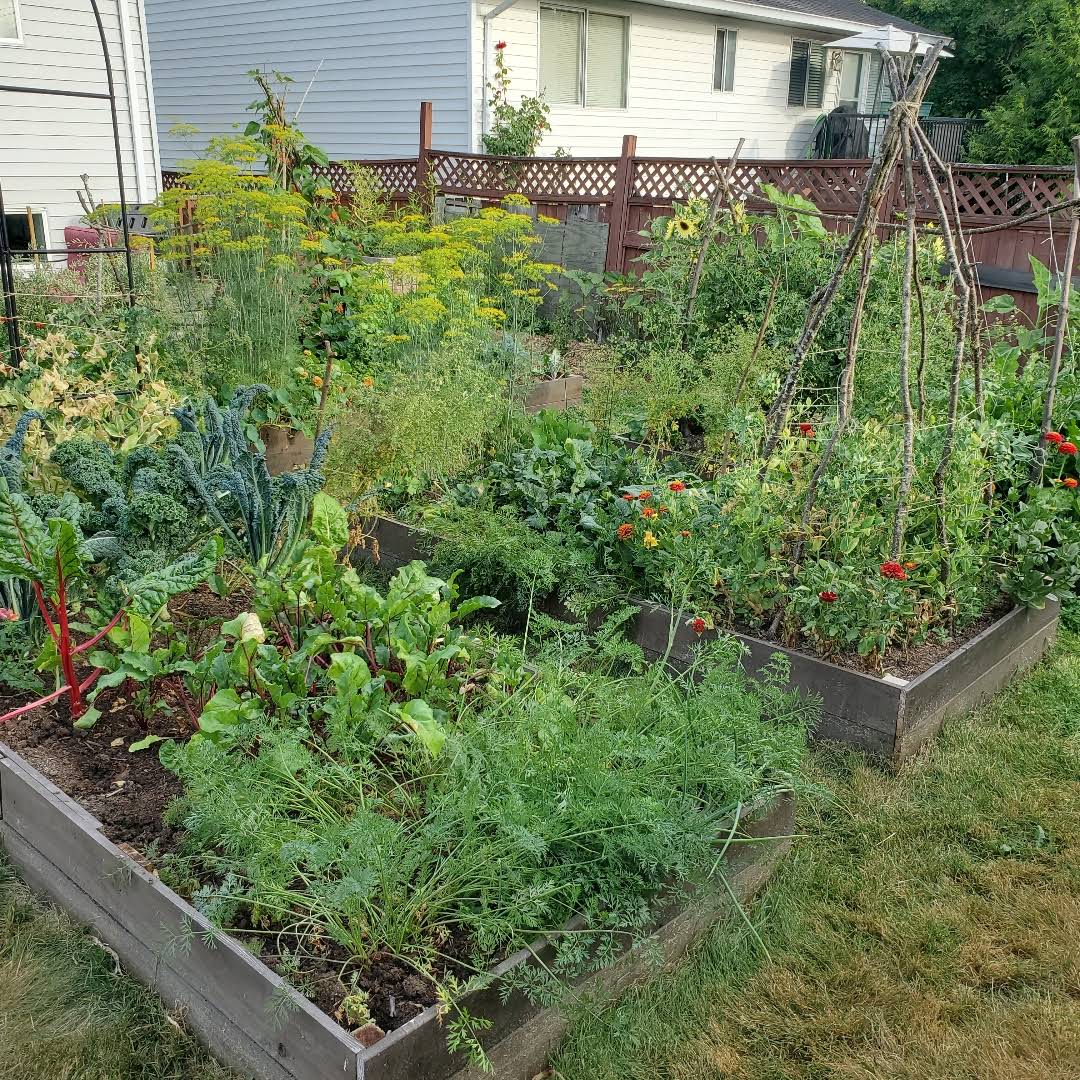 Post from Laura Stepney