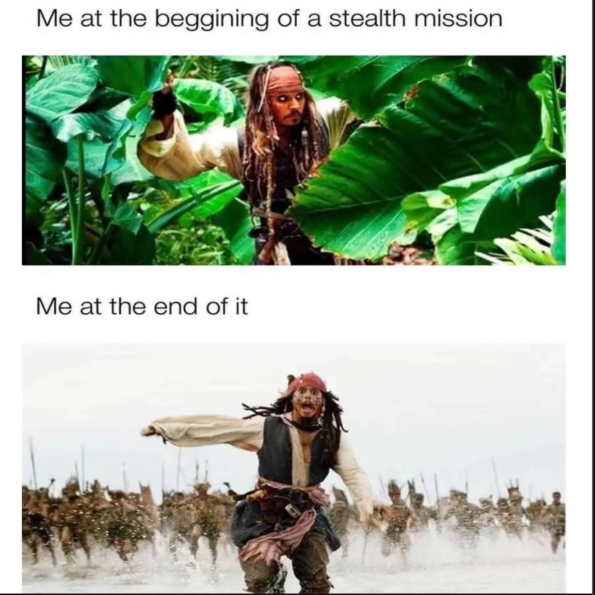 Post from Connor Pugs