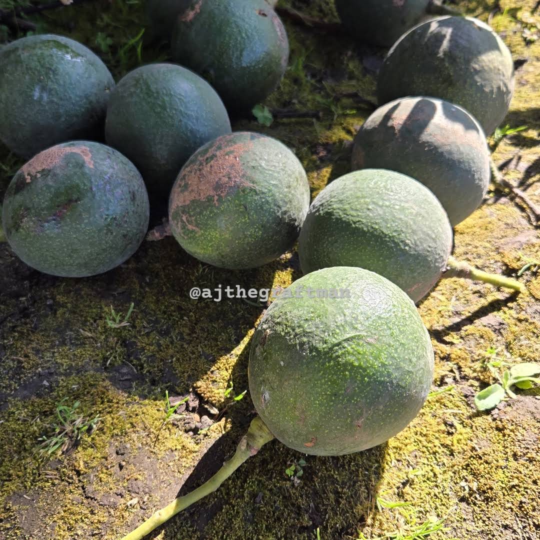 Post from The Graft Man