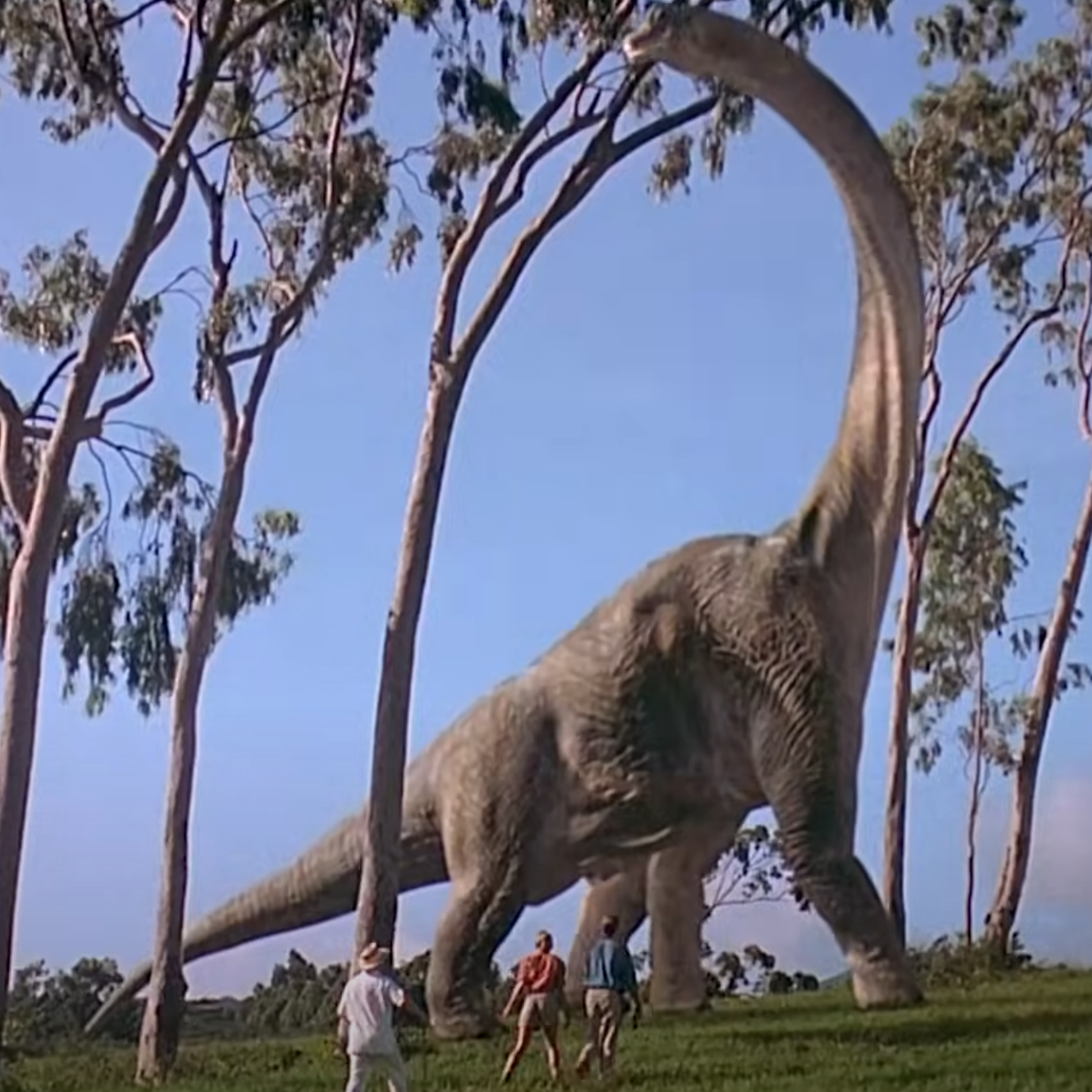 Post from Jack Mills