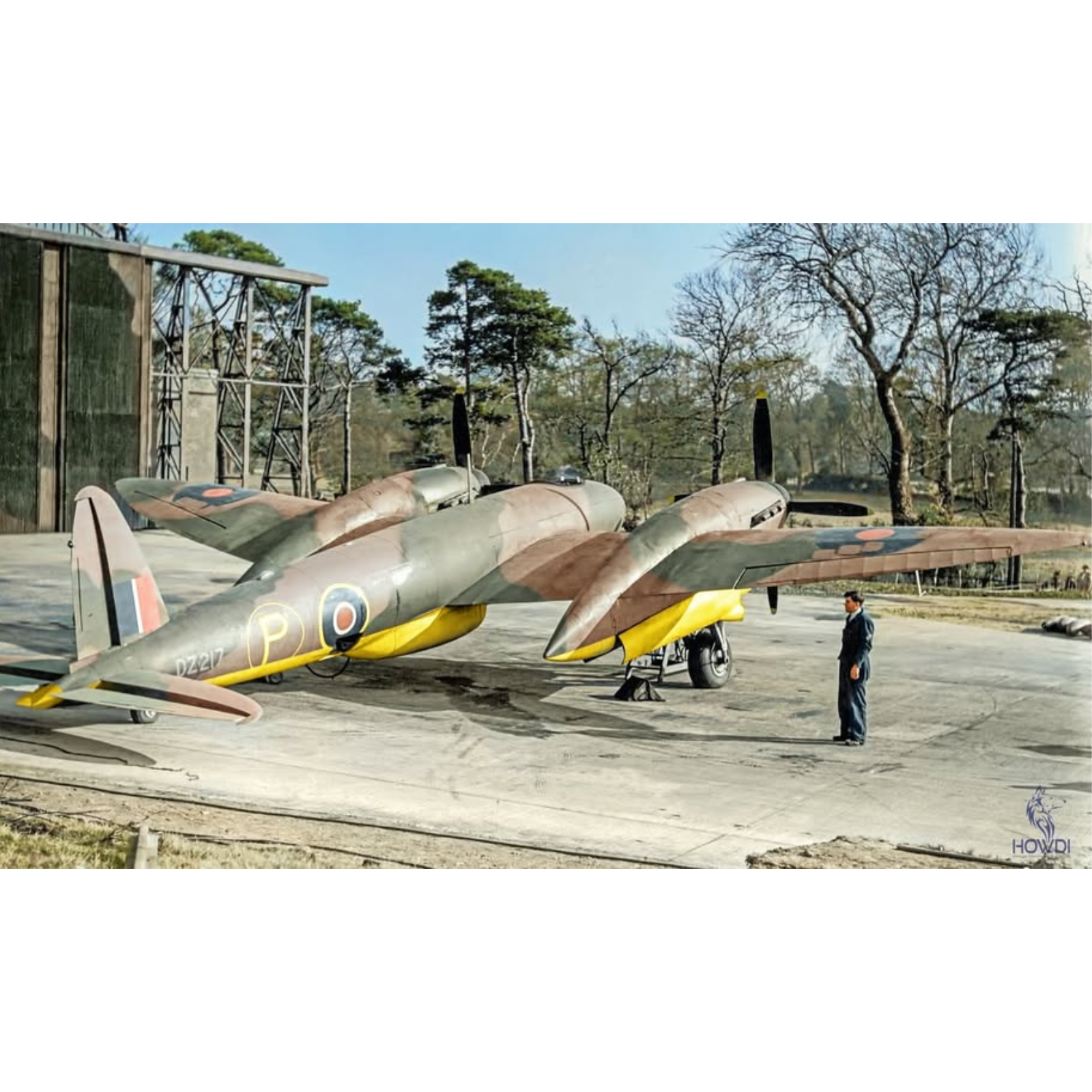 Post from GULL PERCH FLYER