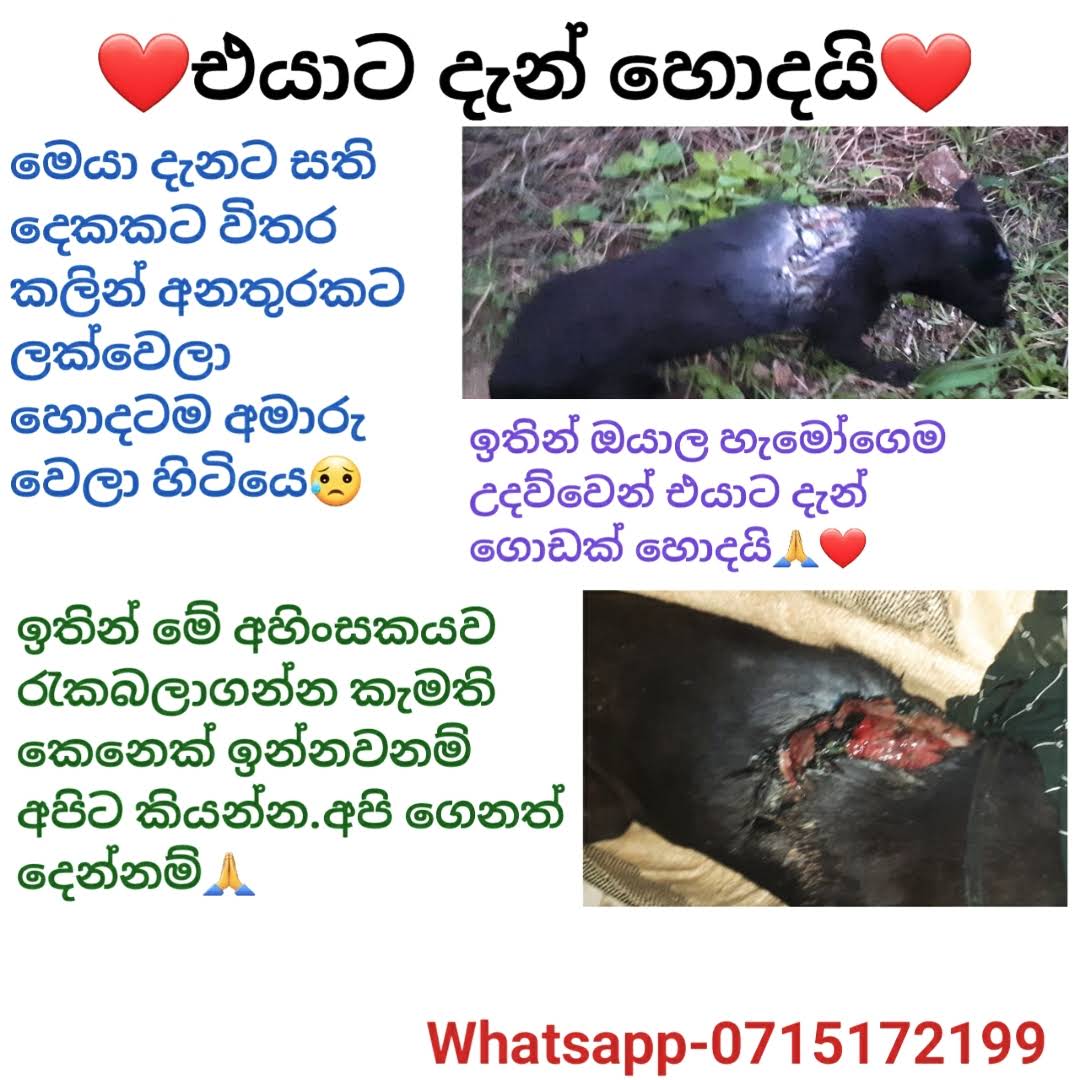 Post from DARSH & MARSH