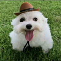 Post from Ruzzy