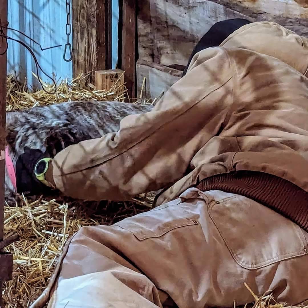 Post from Hidden Heights Farm