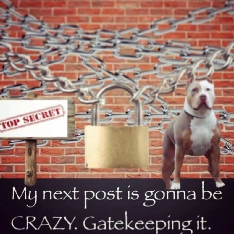 Post from The Blue Reverberation