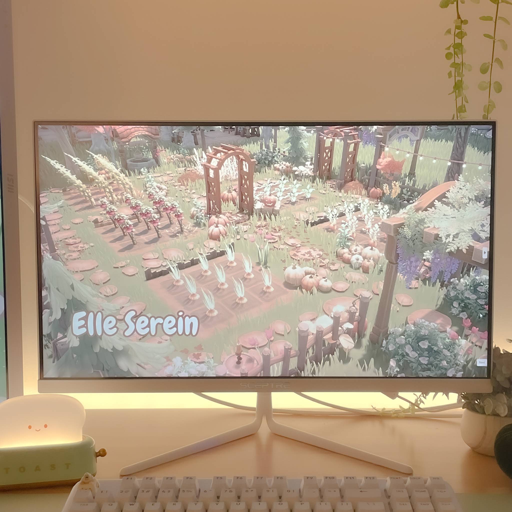 Post from Elle Serein