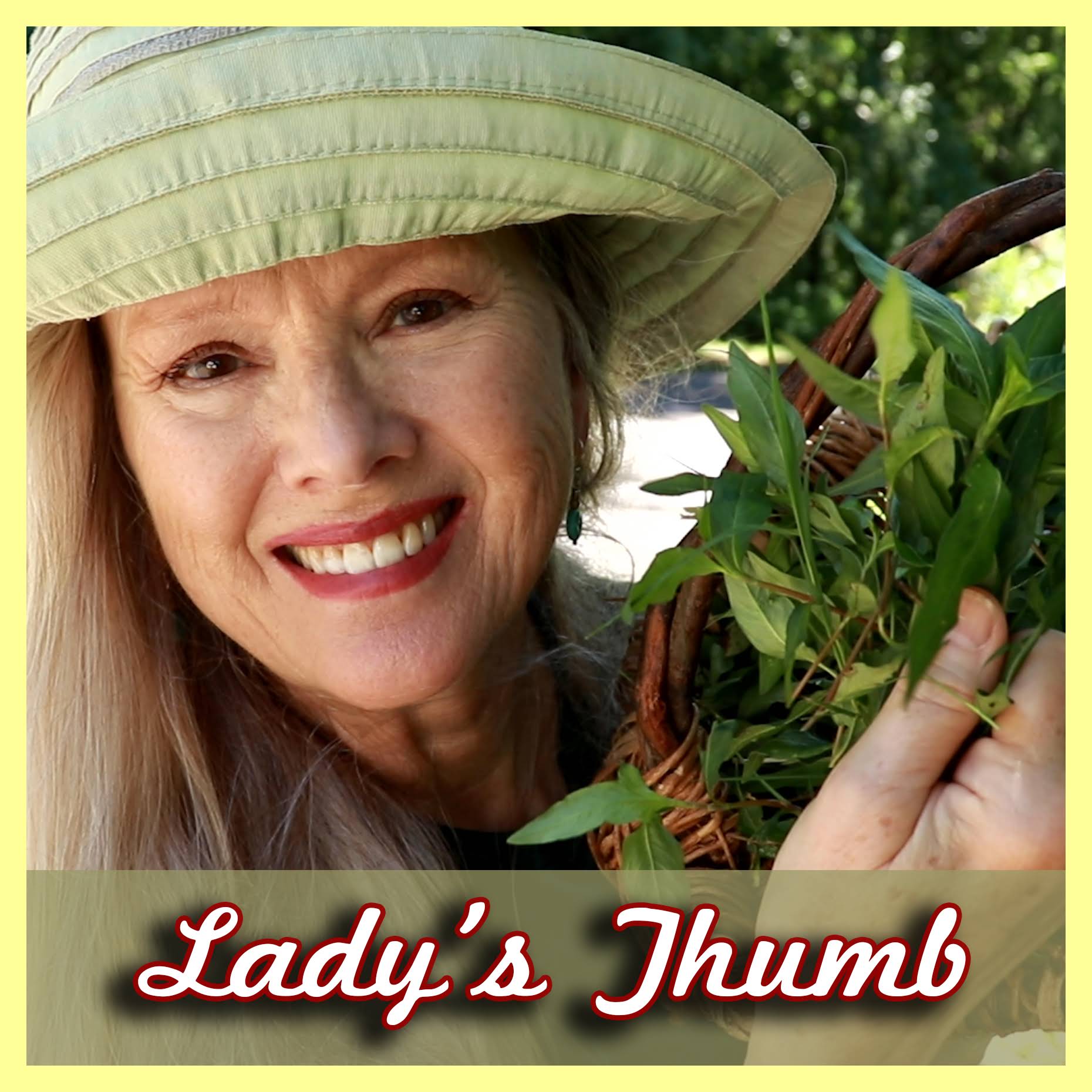 Post from Kaye Kittrell Late Bloomer