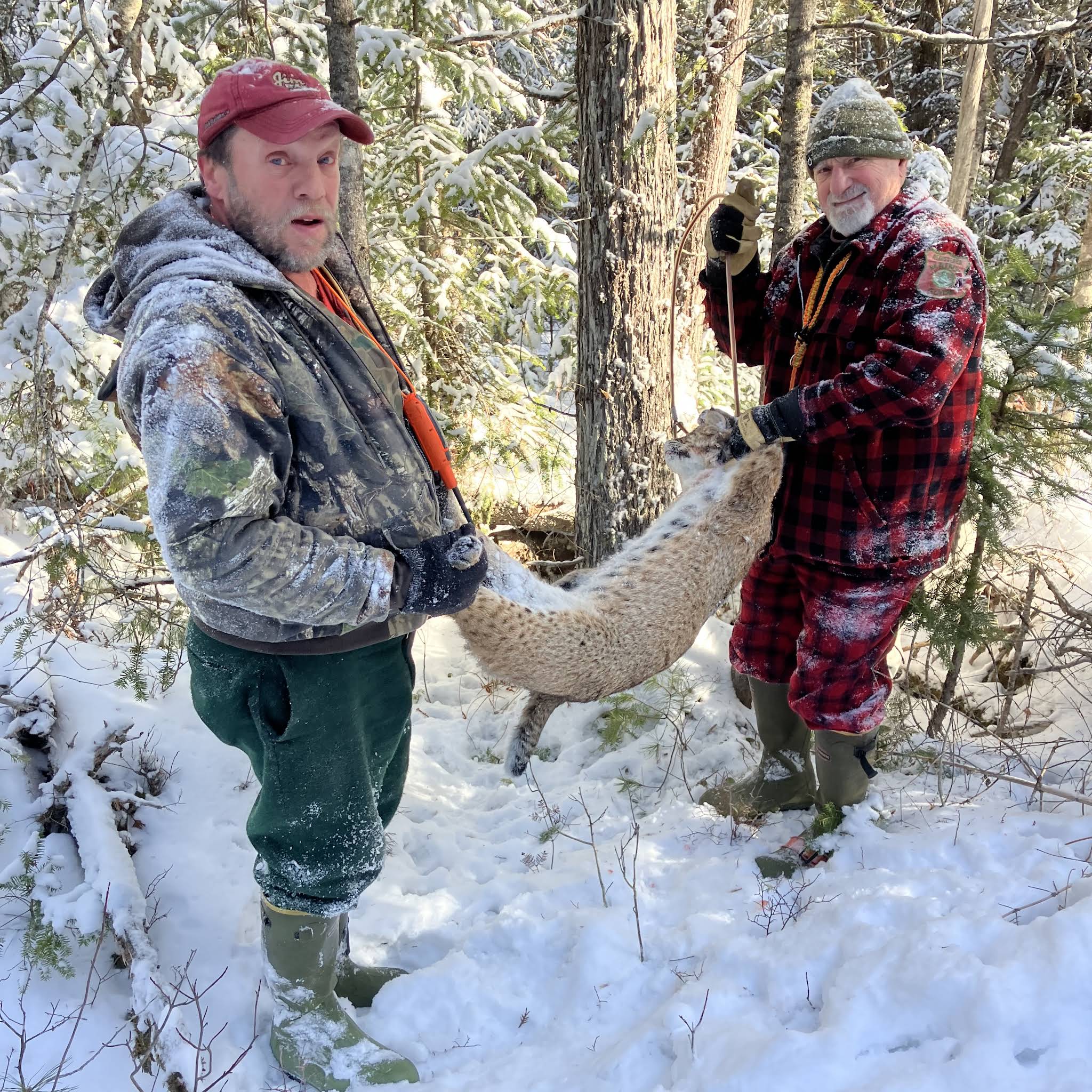 Post from Hound Hunting Bear and Bobcat with Sam Natole