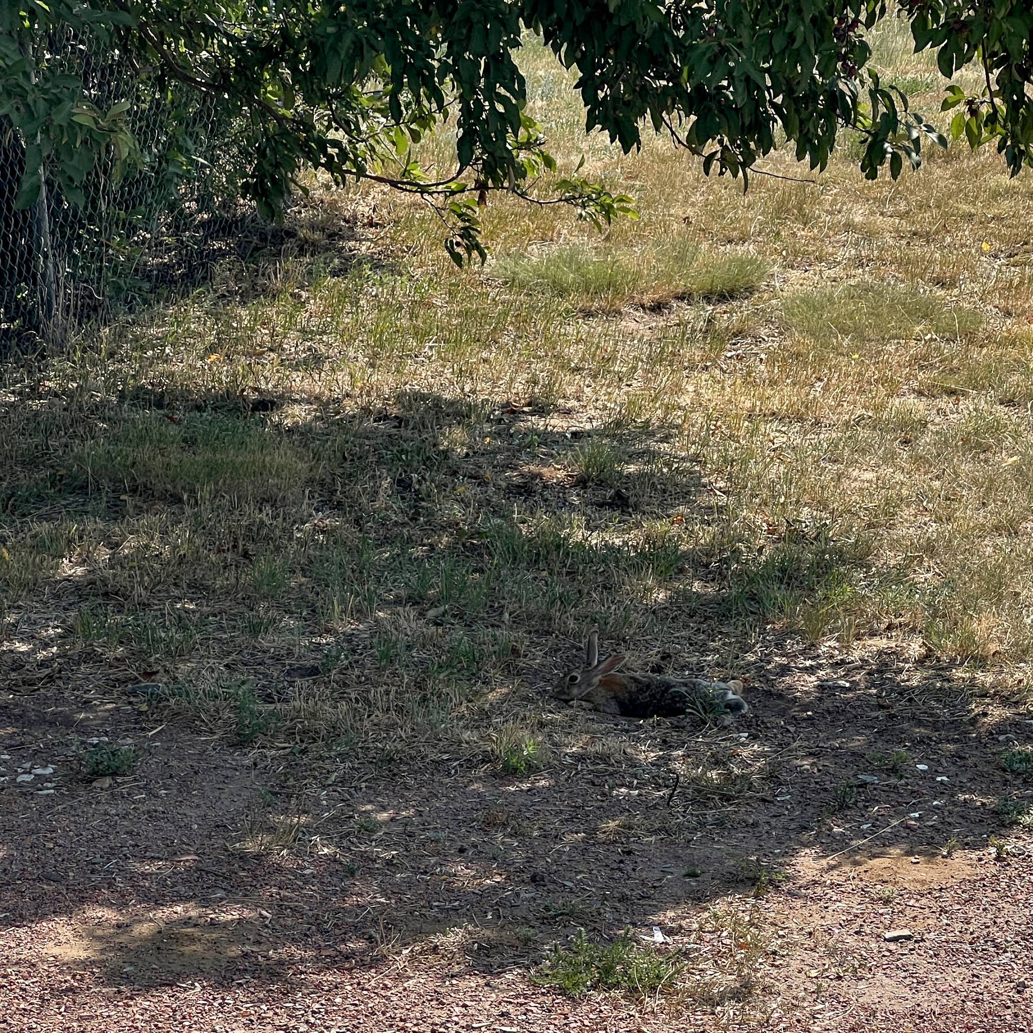 Post from Robert Witham