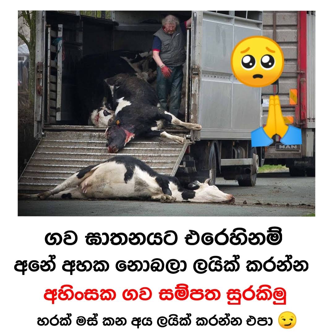 Post from Ushan Promo