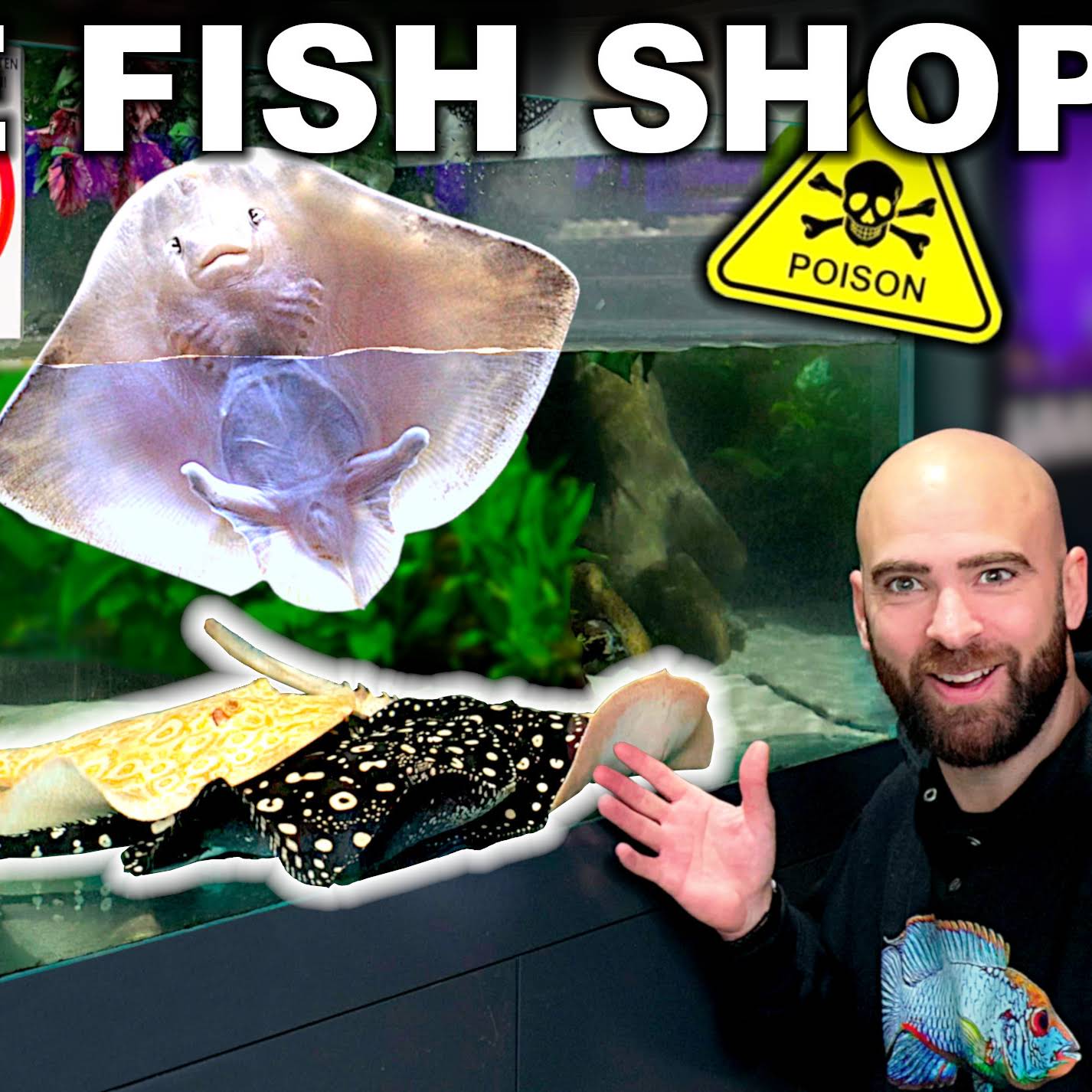@mdfishtanks | MD Fish Tanks | fishfam.link