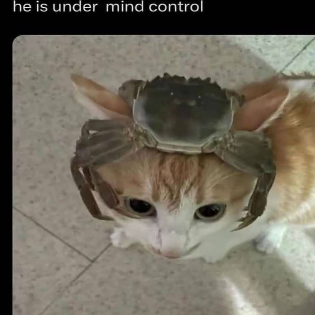 Post from Sillius The Third