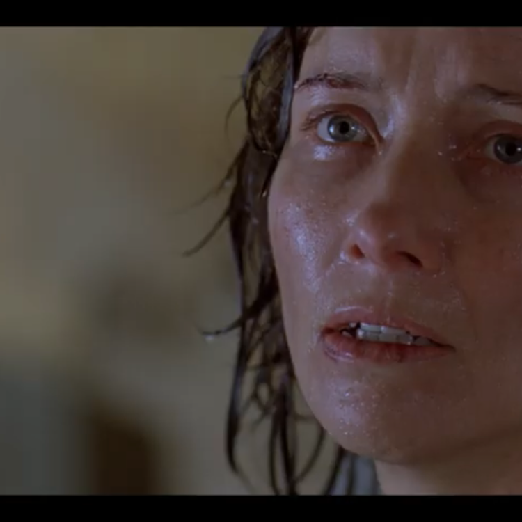 Post from Ferda ferd