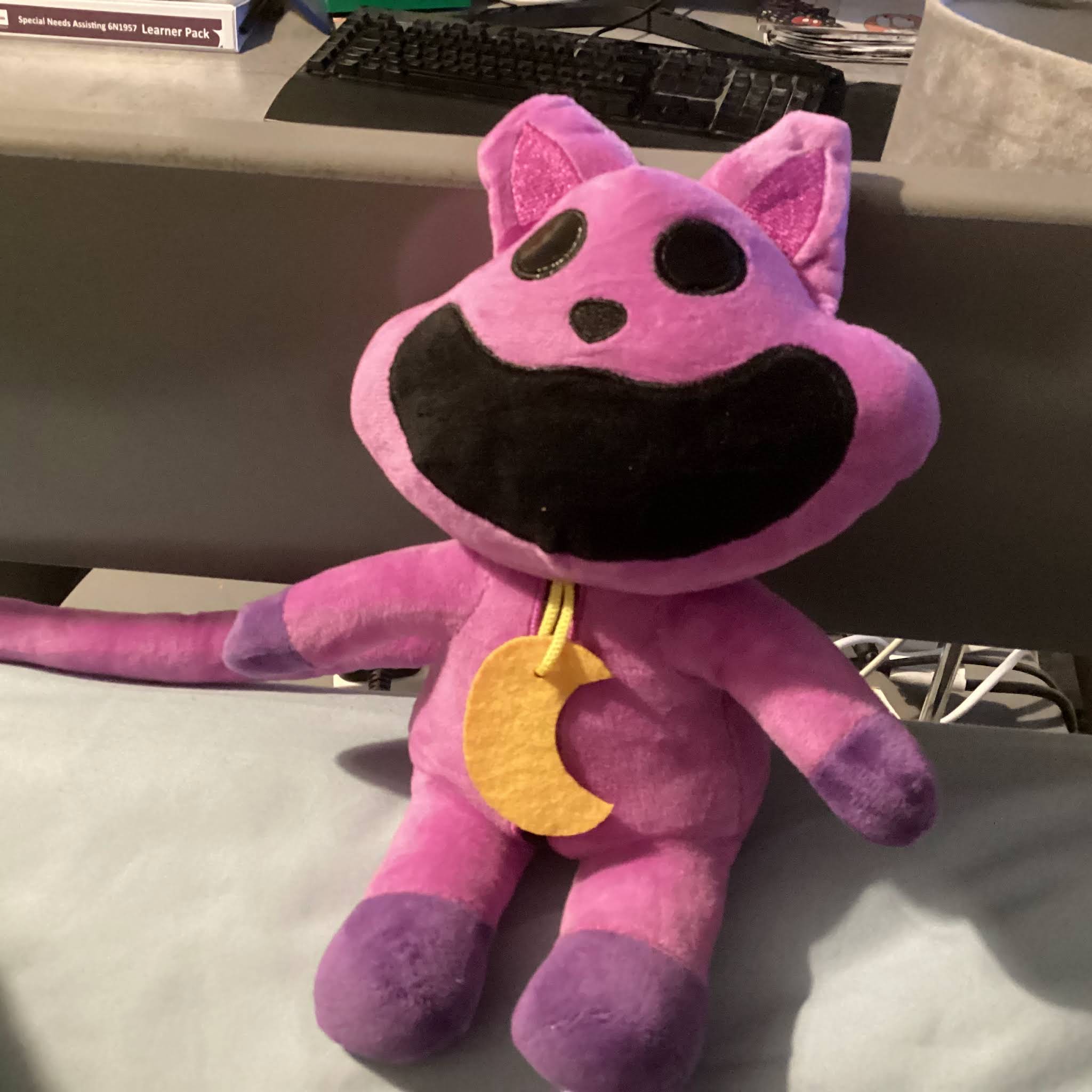 Post from Ryan and Daniel