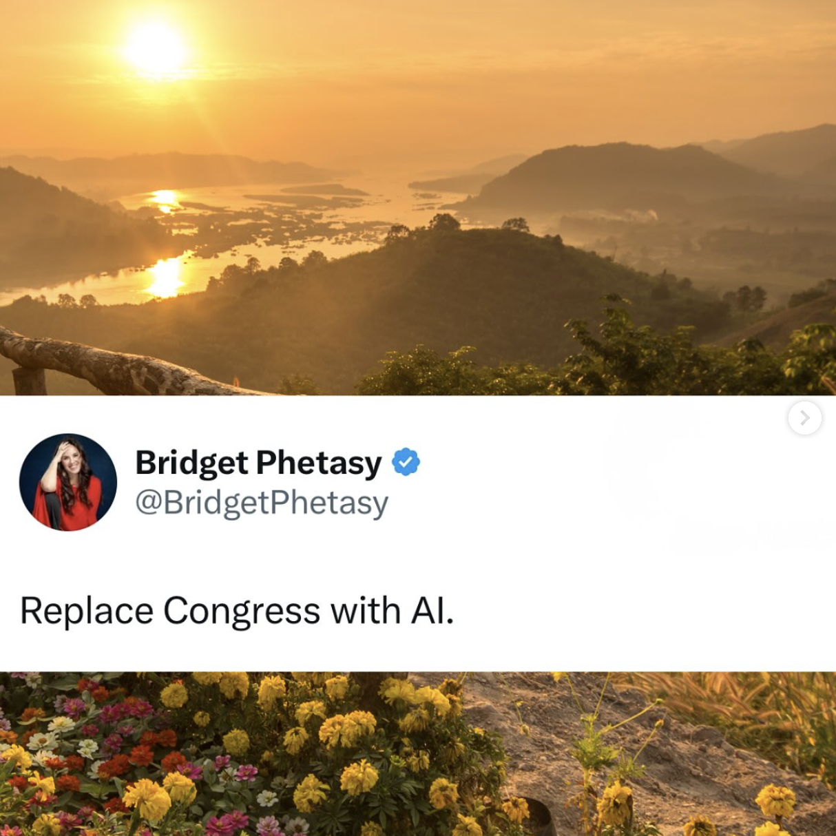 Post from Bridget Phetasy