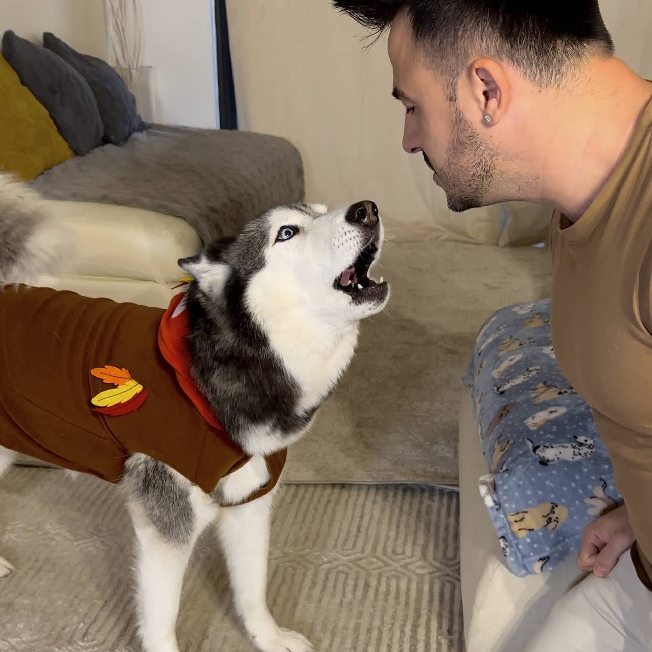 Post from Meeka The Husky