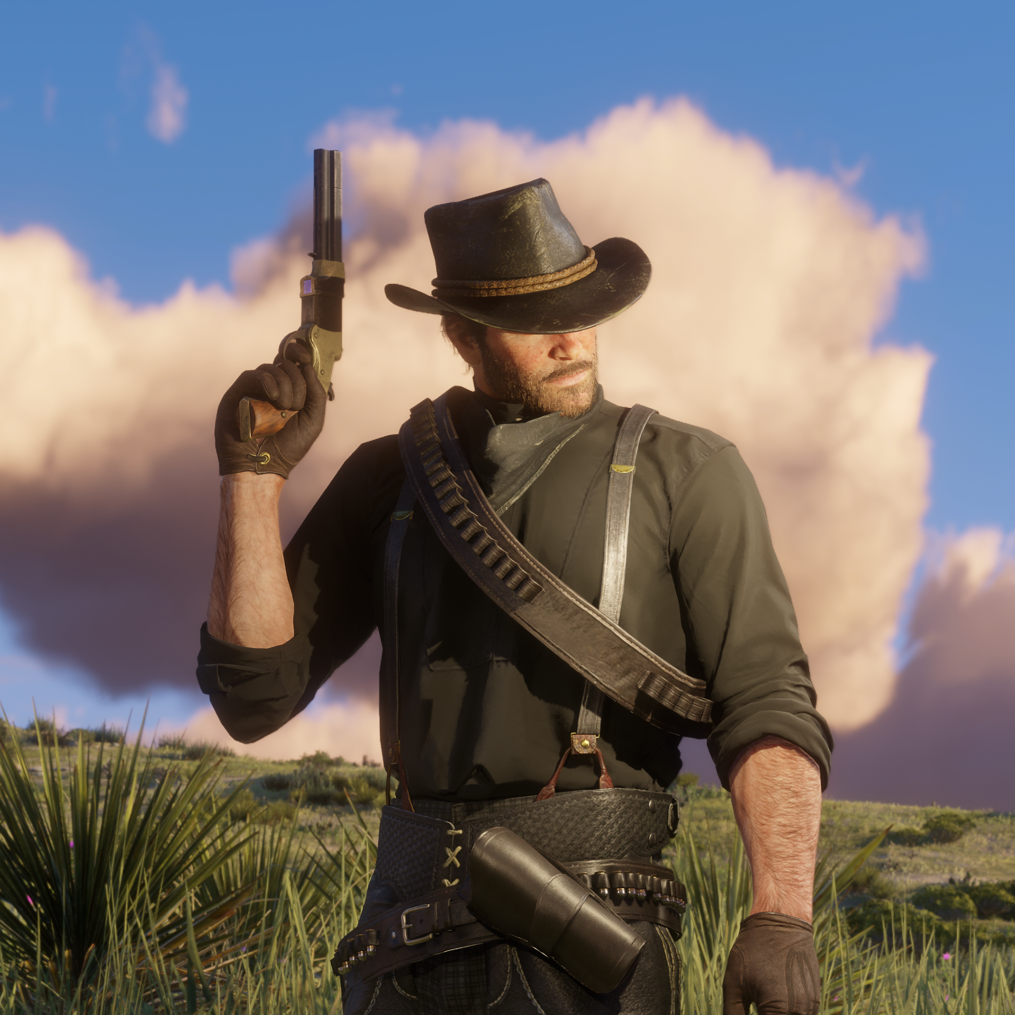Post from rdr.outlaw