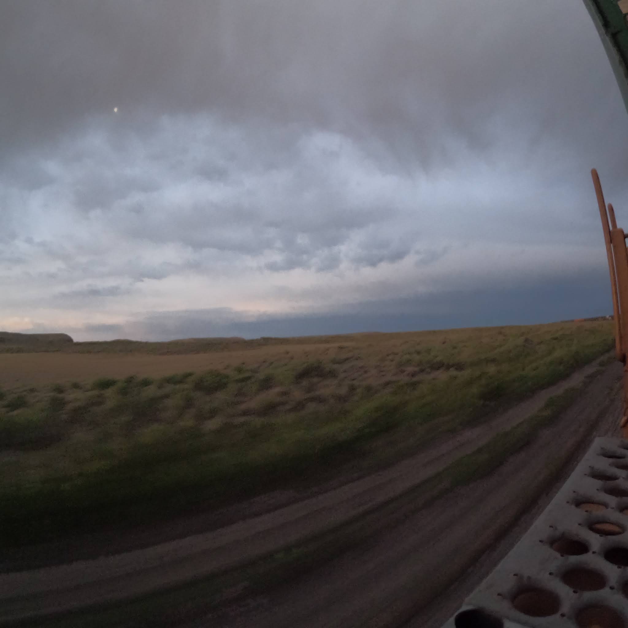 Post from Yard Buzzards