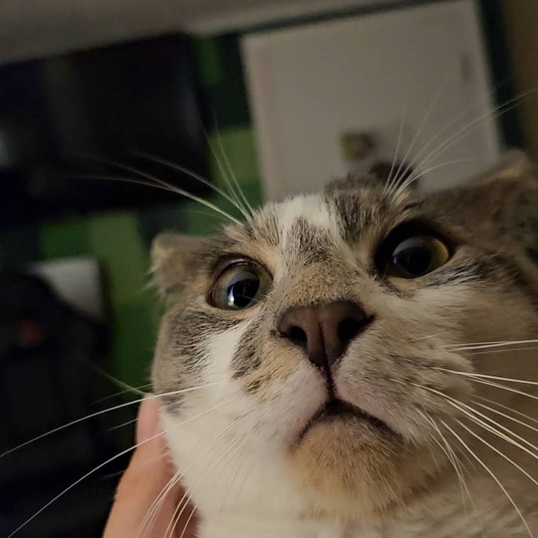 Post from The CC Channel