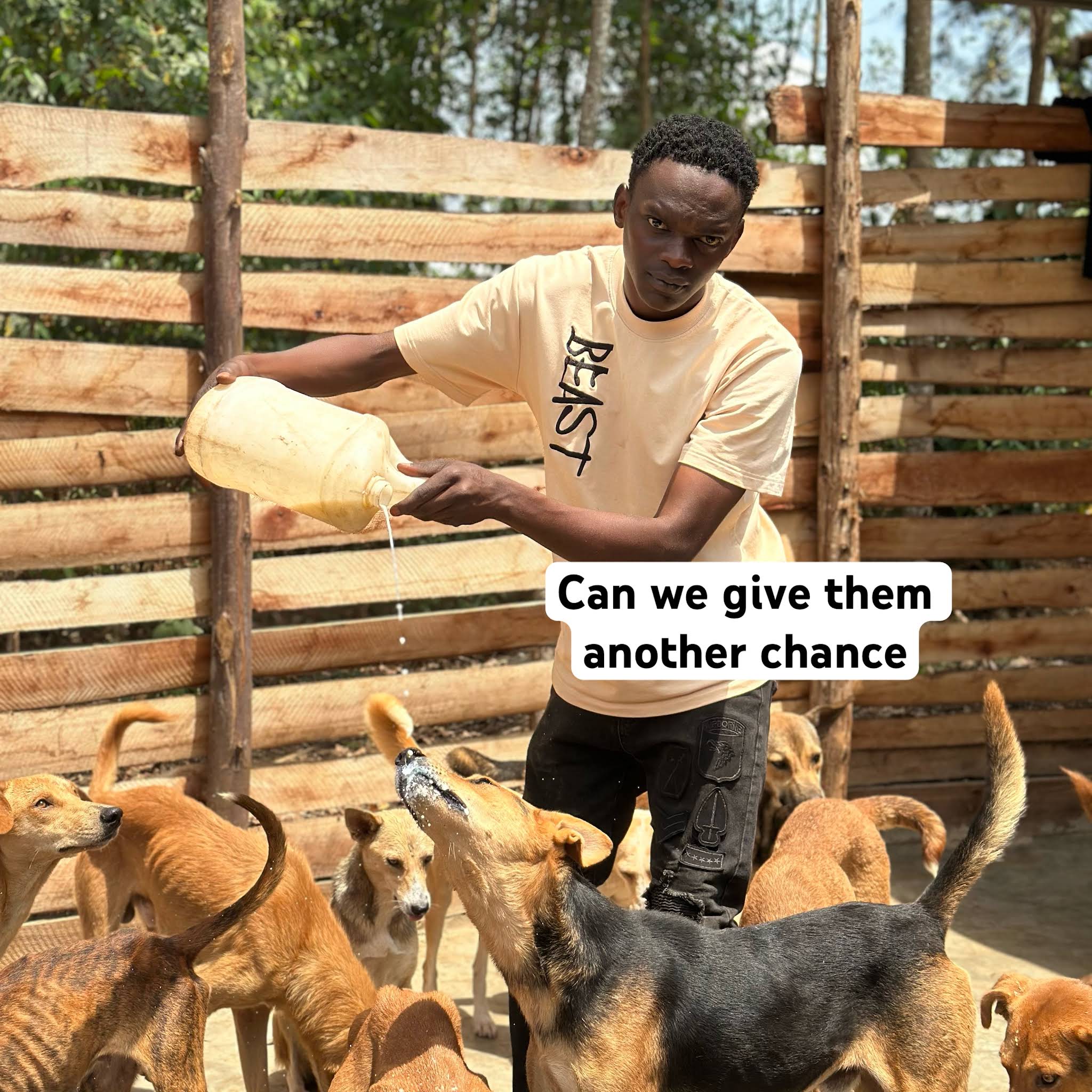 Post from Alex_animals_rescue_Uganda