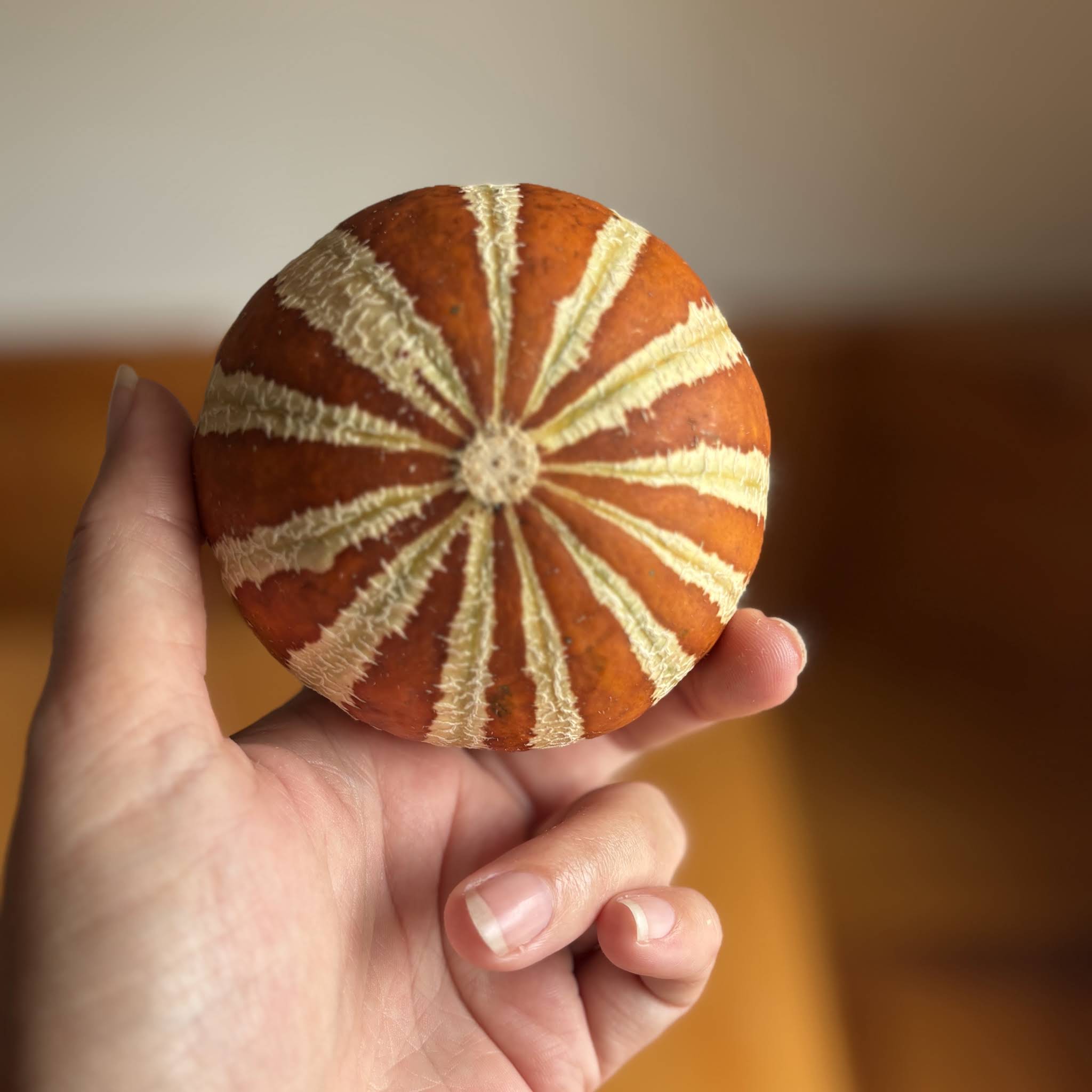 Post from Moon Sprout