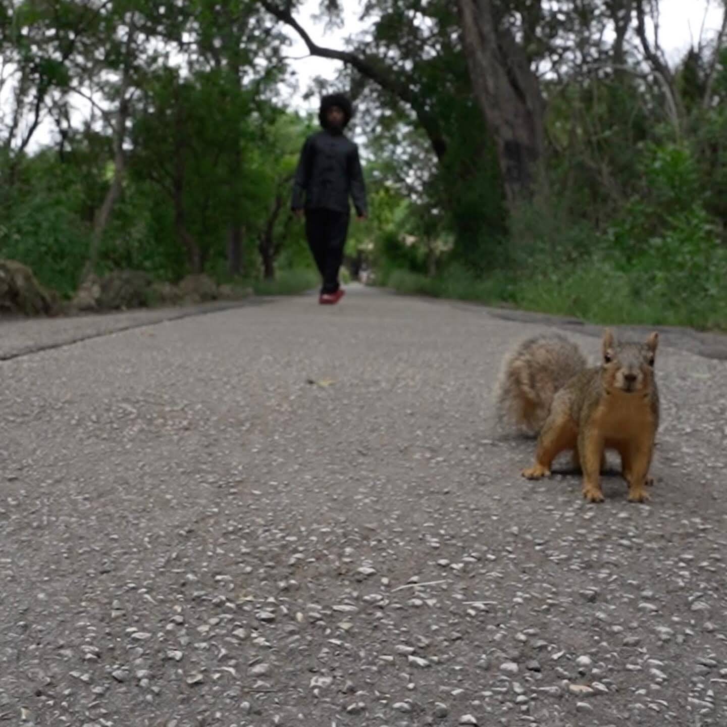 Post from Shimon Davis