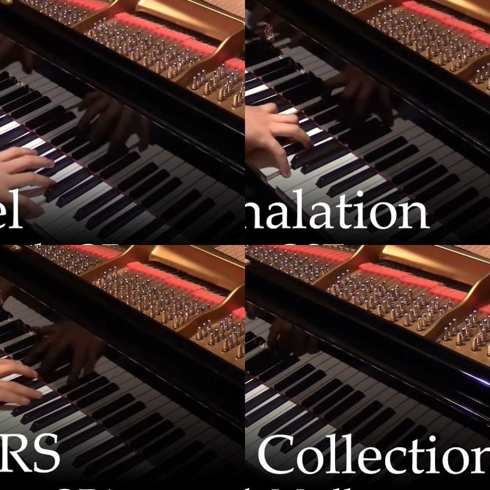 My Top 10 Most Difficult Piano Arrangements / 演奏難易度 Top10