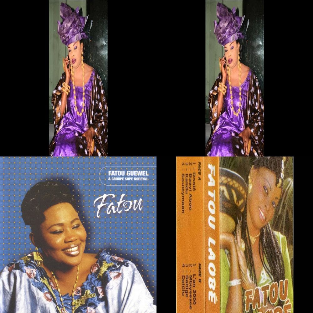 FATOU LAOBE MIX