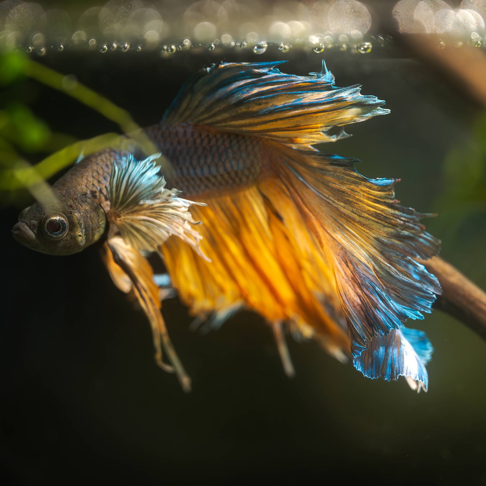 Post from 𝐓𝐑𝐆