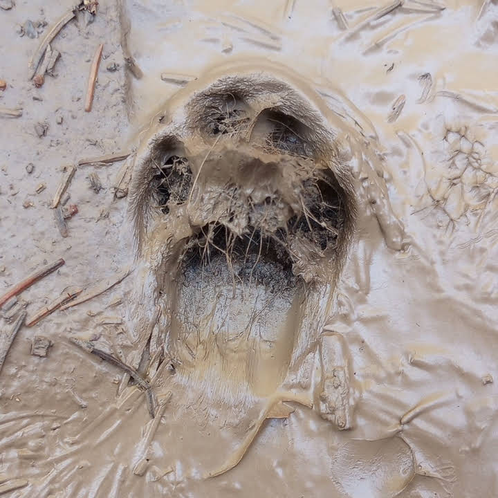 Post from Matty Bites