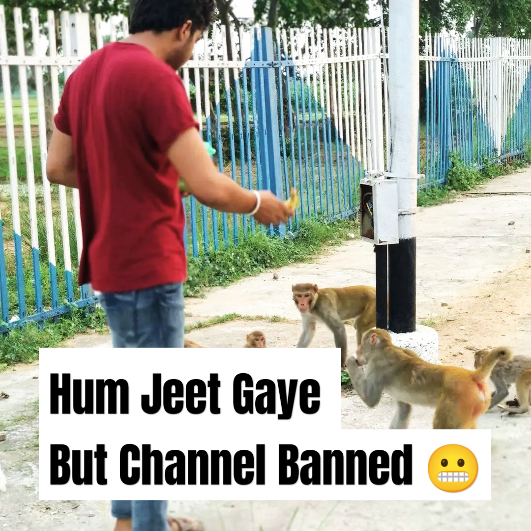 Post from Vishu Singh Mahal