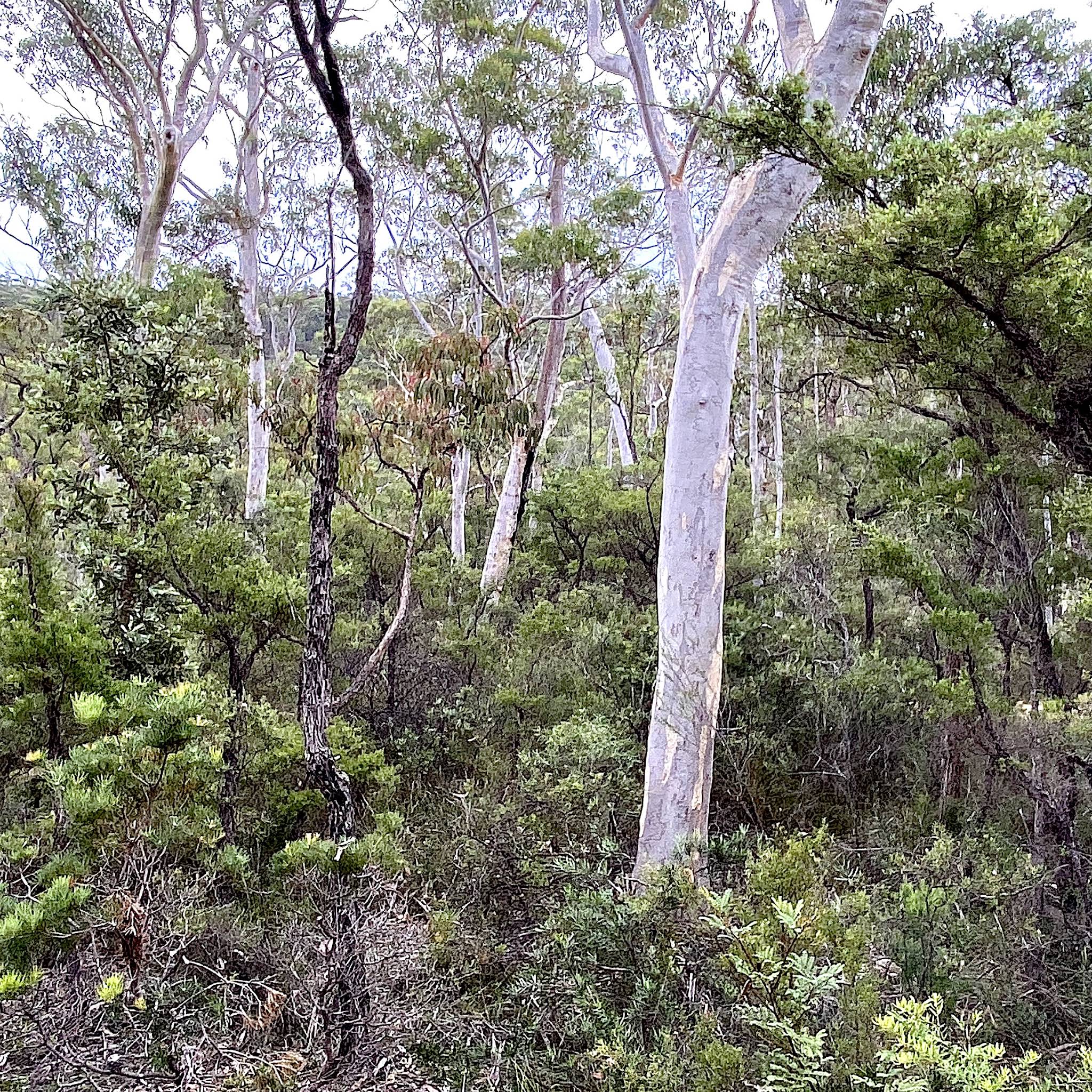 Post from Stephen Travers Art