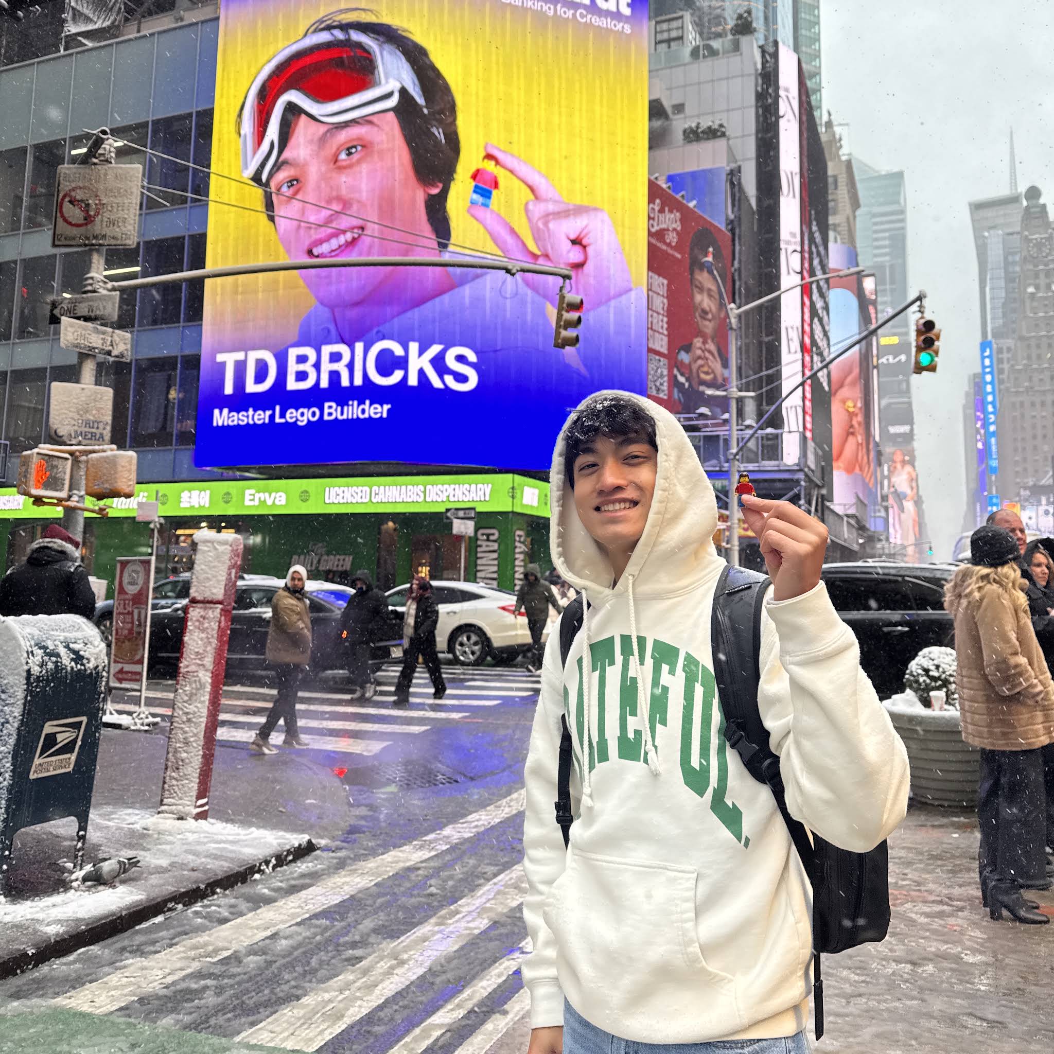 Post from TD BRICKS