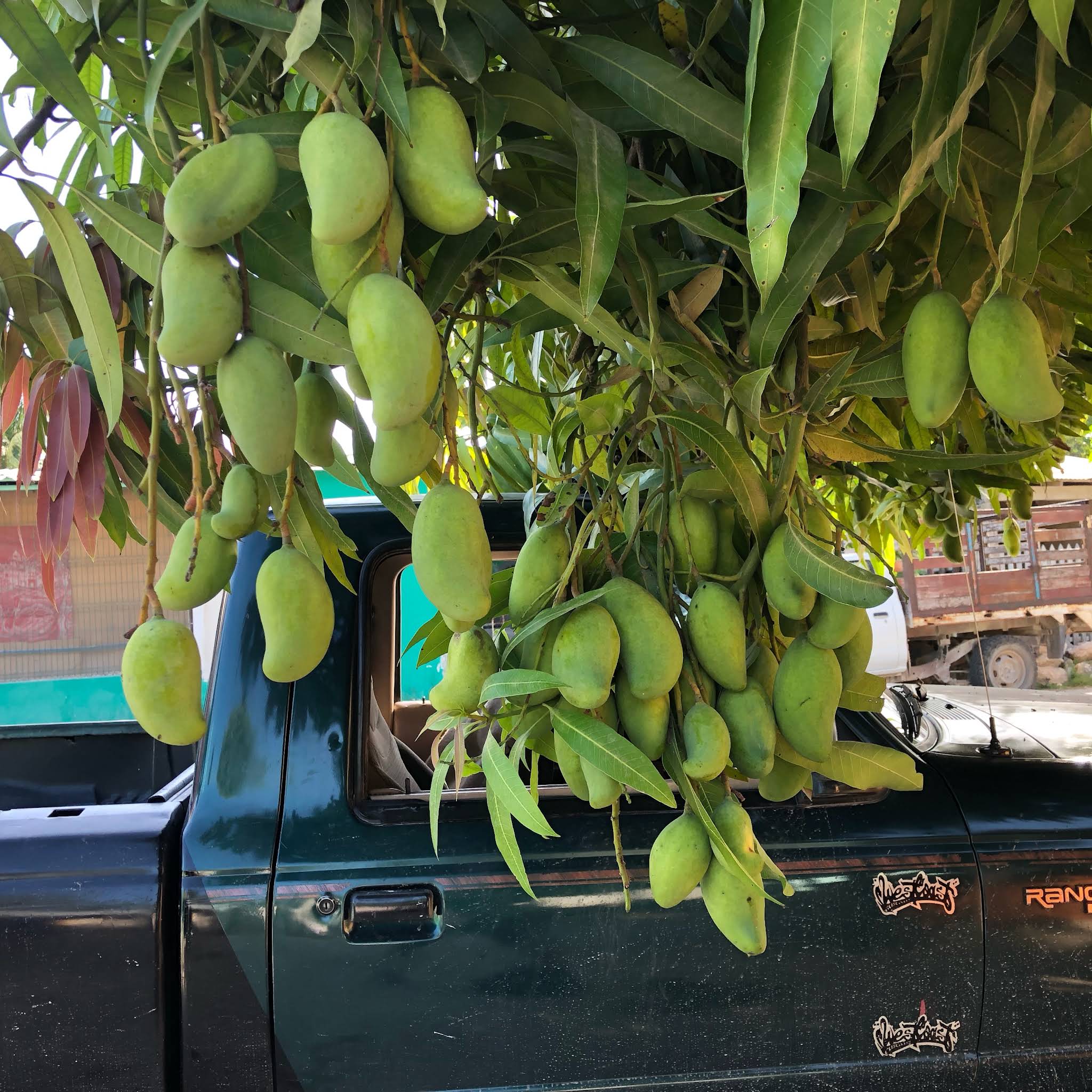 Post from The Graft Man