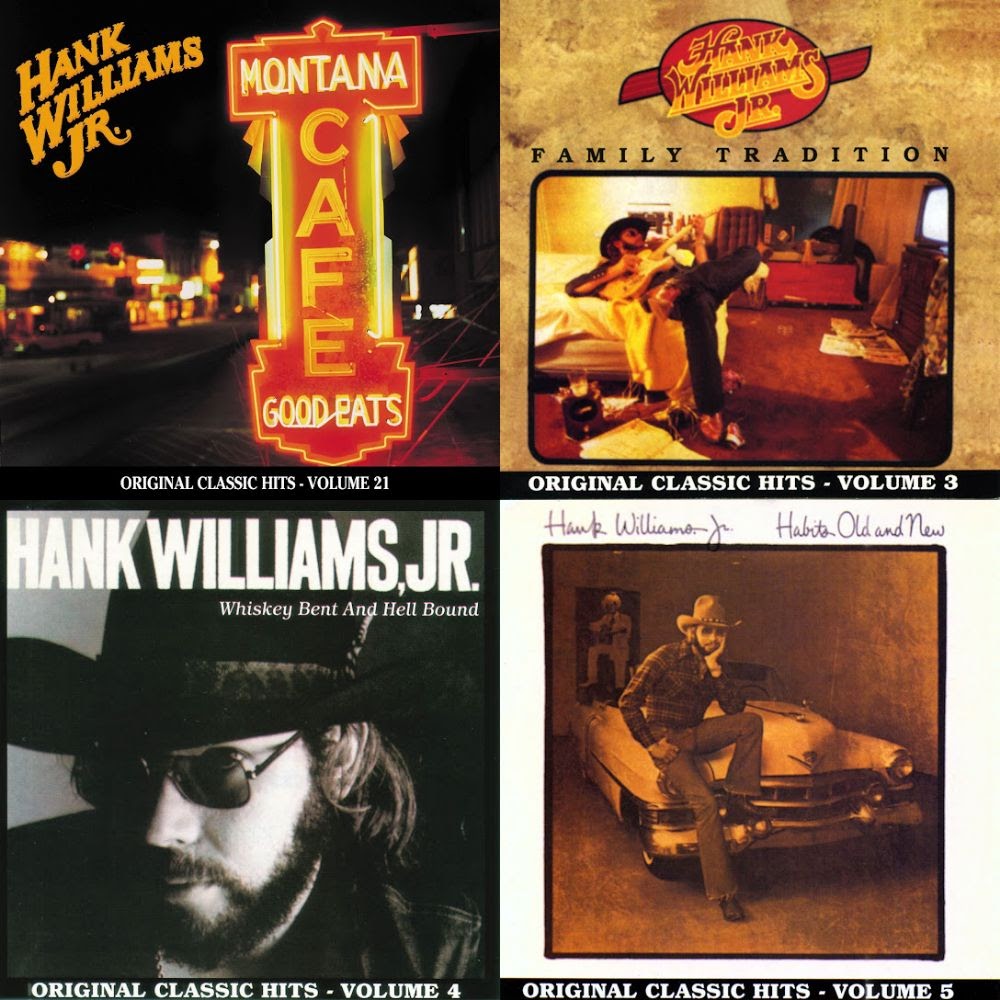 Hank Williams Jr and friends
