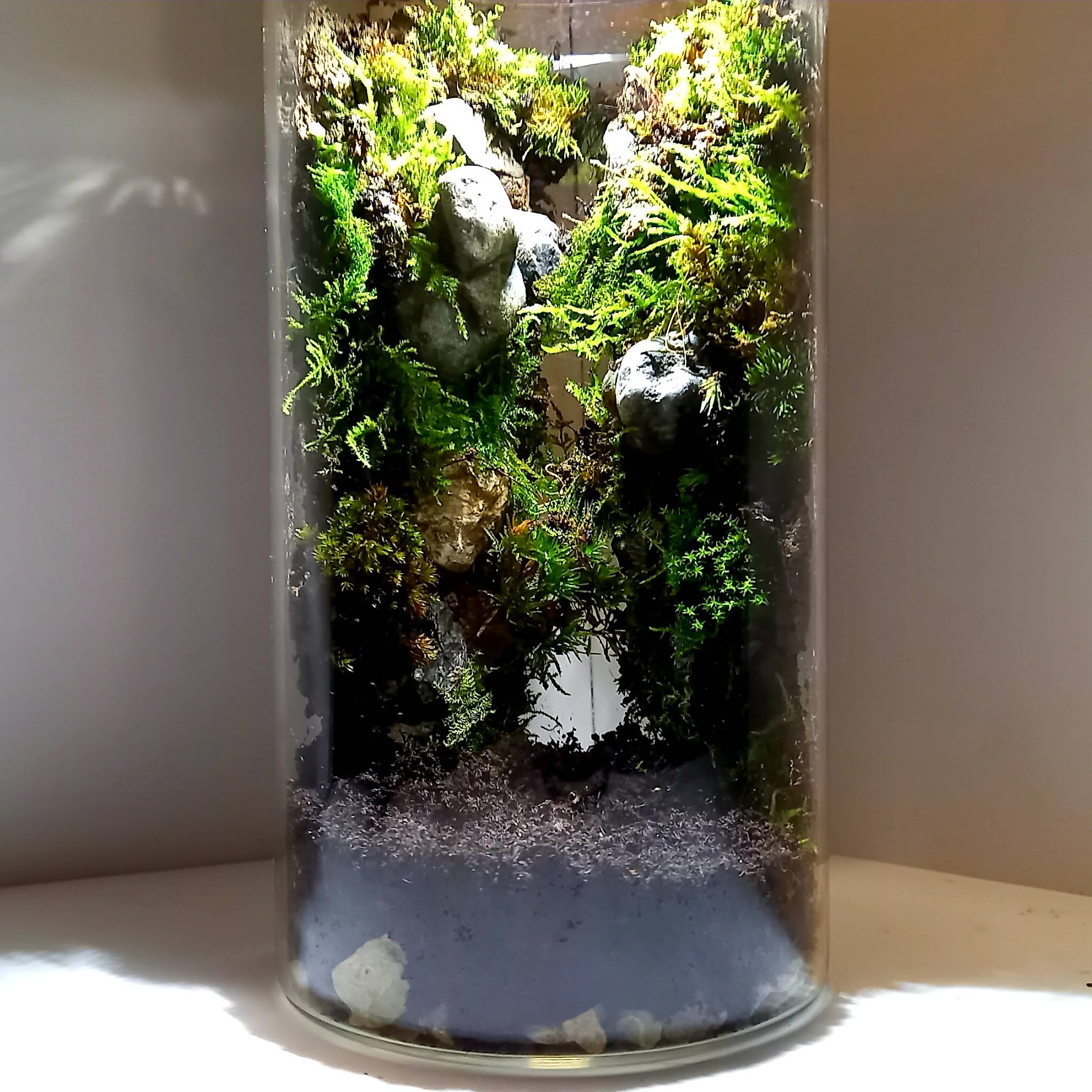 Post from Homemade Ecosystems