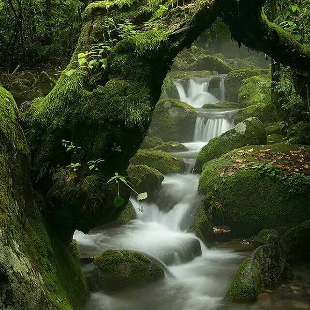 Post from No One Any Moore