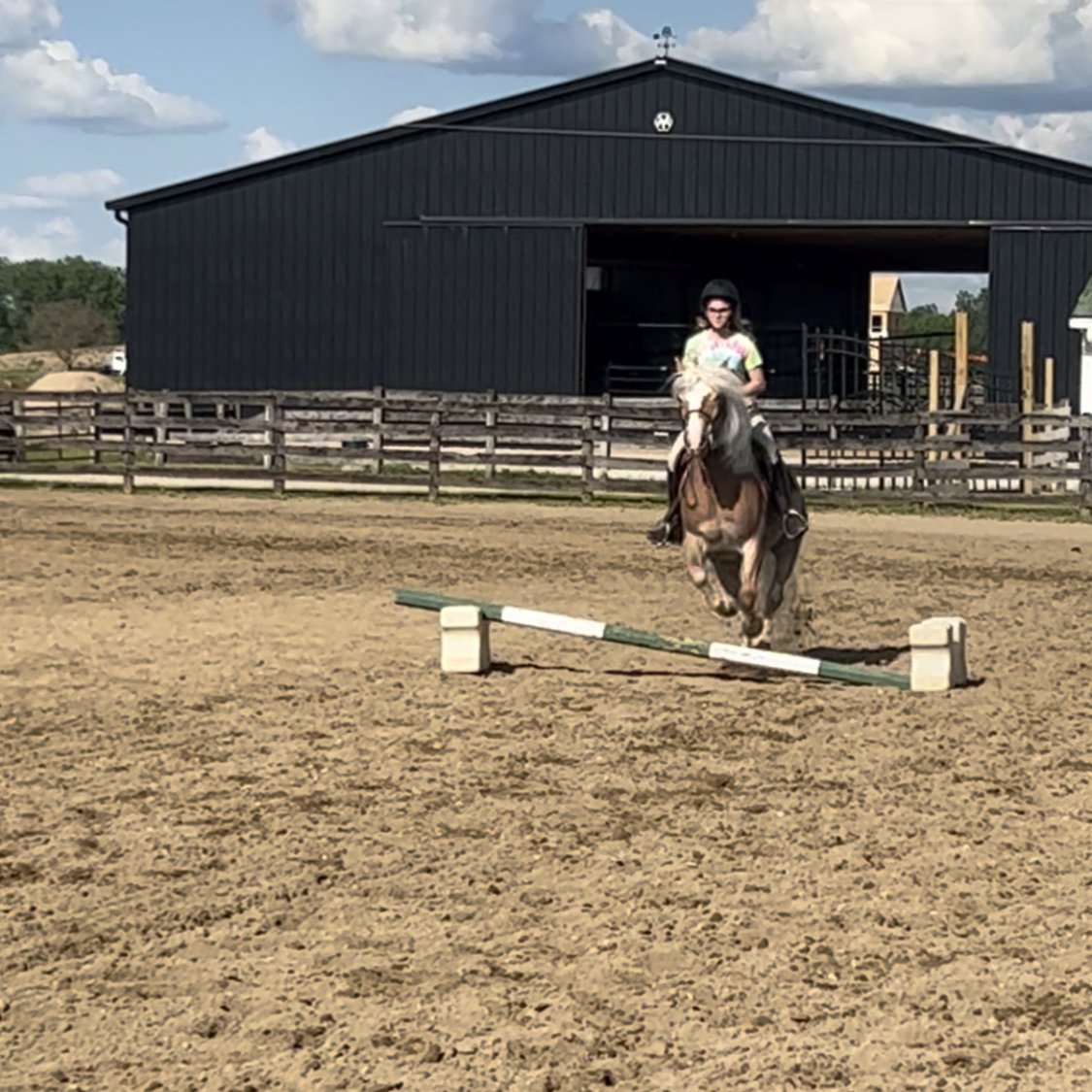 Post from Equine Emma